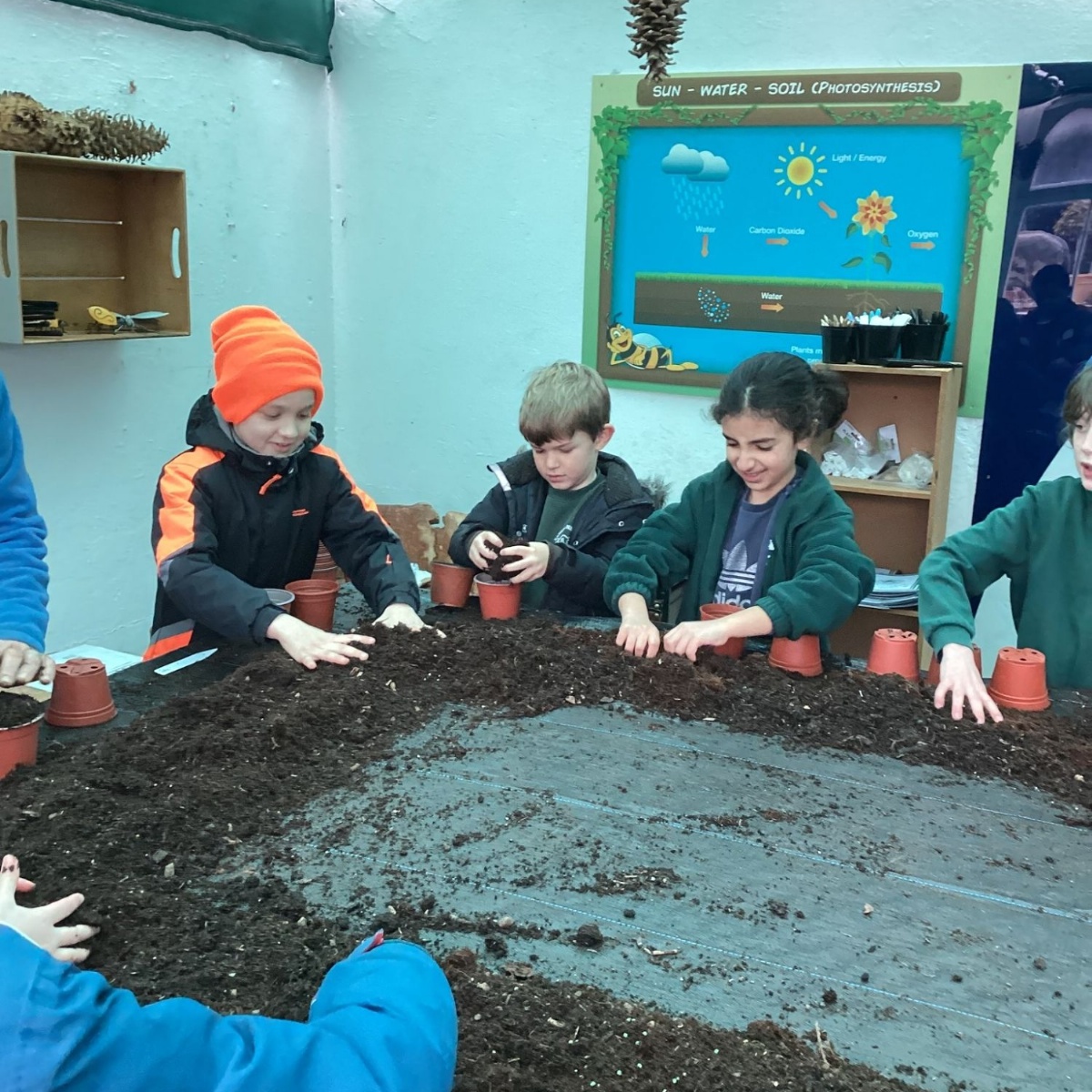 Ted Wragg Multi-Academy Trust - Exwick Heights Pupils Enjoy a Day of ...